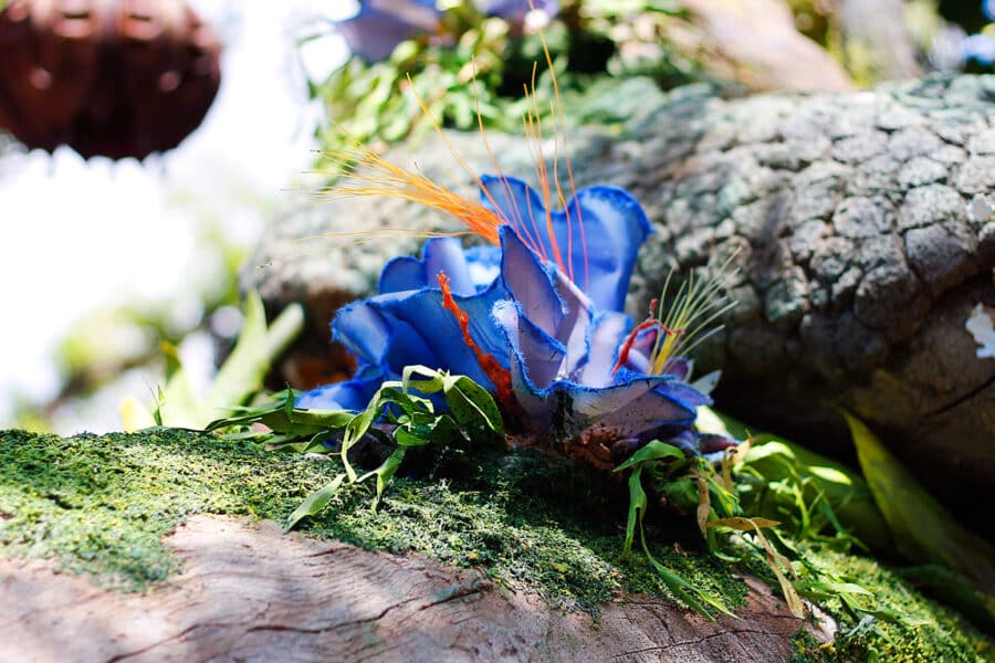 The Absolute Best Tips for Visiting Disney's Pandora - On the Road with ...
